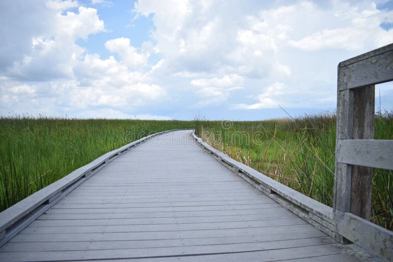Never Ending Path To Green Marsh Stock Image - Image of toned, green ...