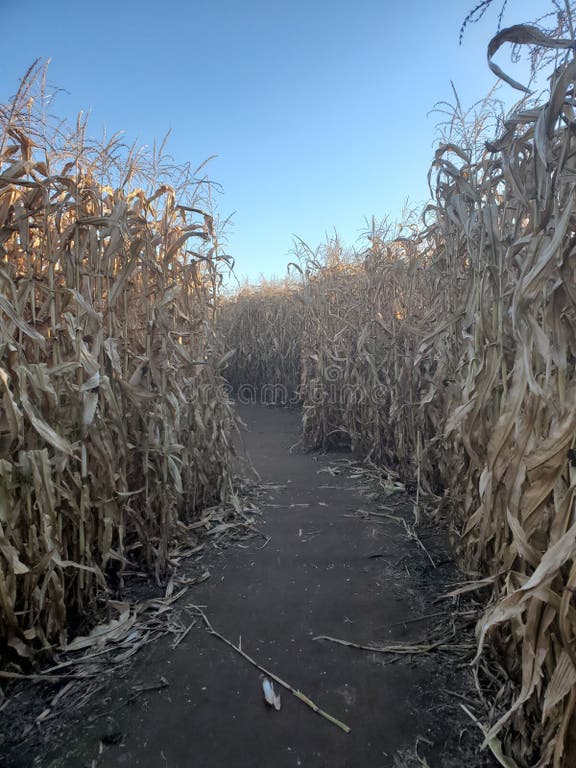 The never ending path stock photo. Image of freedom - 163425570