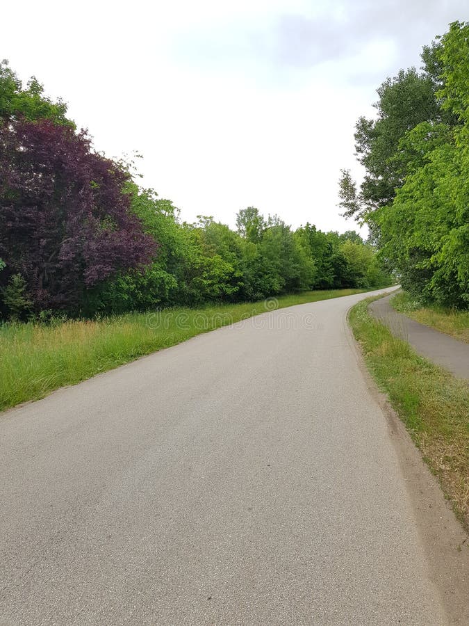 Never Ending Tree Road Stock Photos - Free & Royalty-Free Stock Photos ...