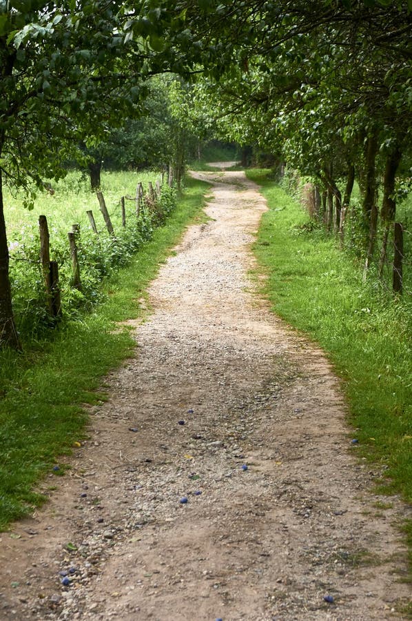 Never ending road stock photo. Image of mindfullness - 75098810