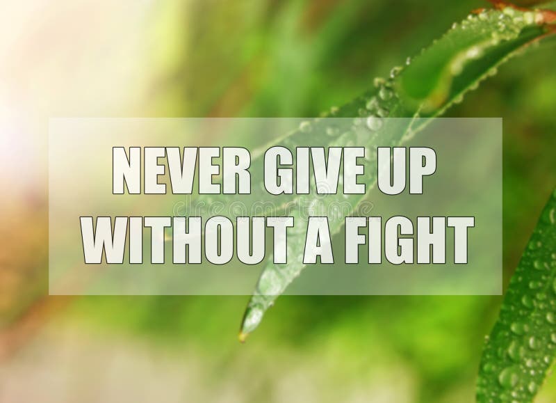 Never Give Up without a Fight Stock Photo - Image of liquid, fight ...
