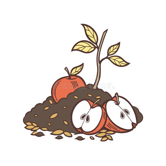 New Apple Tree Sapling Illustration with Apples Around Stock Image ...