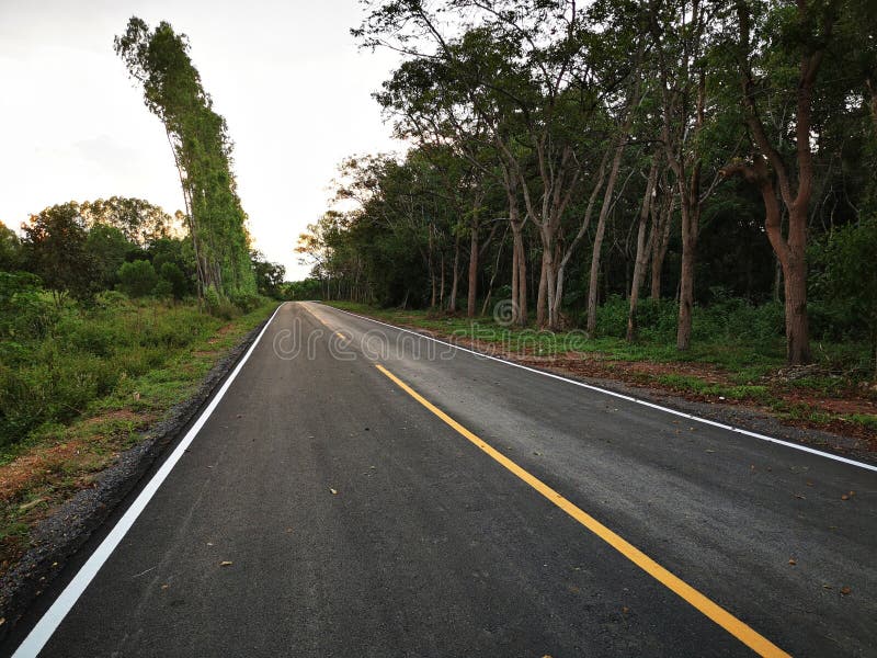A new asphalt road stock photo. Image of future, grass - 270017514