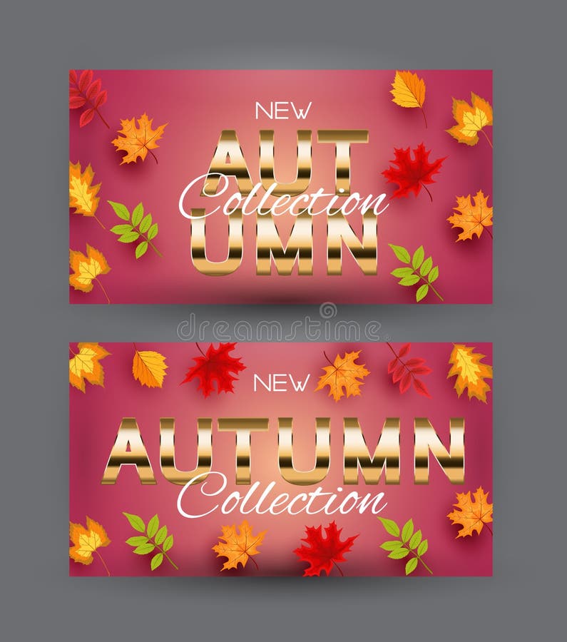 New Autumn Collection Card Template Vector Illustration Stock Vector ...