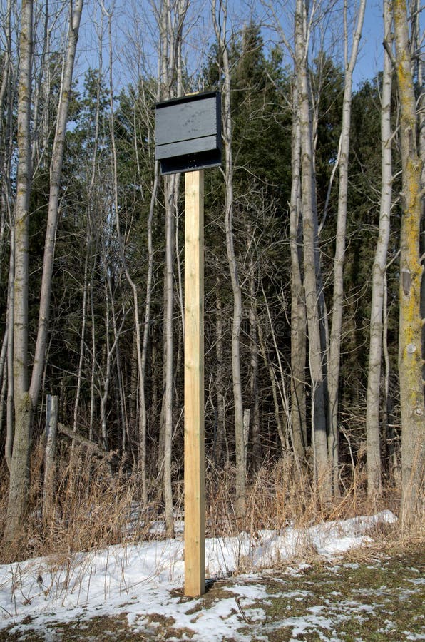 Bat House on stock photo. Image of nest, black, high - 111534944