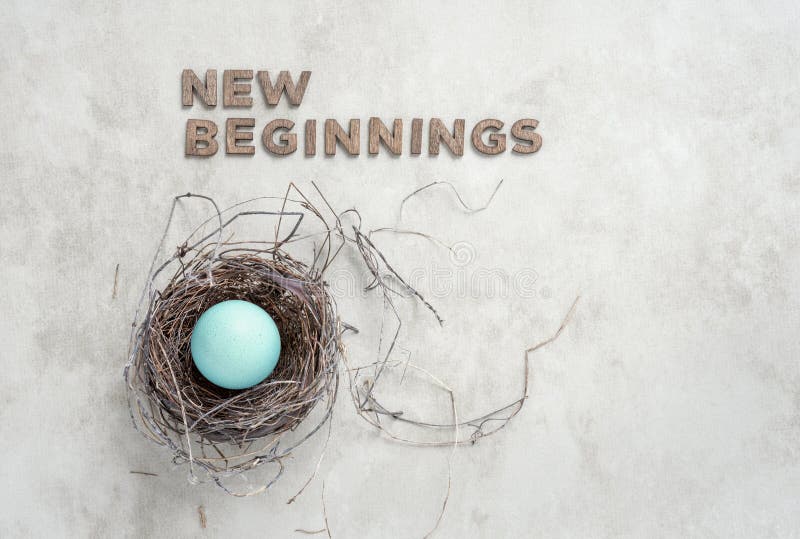 New Beginnings Blue Egg in Natural Nest Stock Image - Image of twig ...