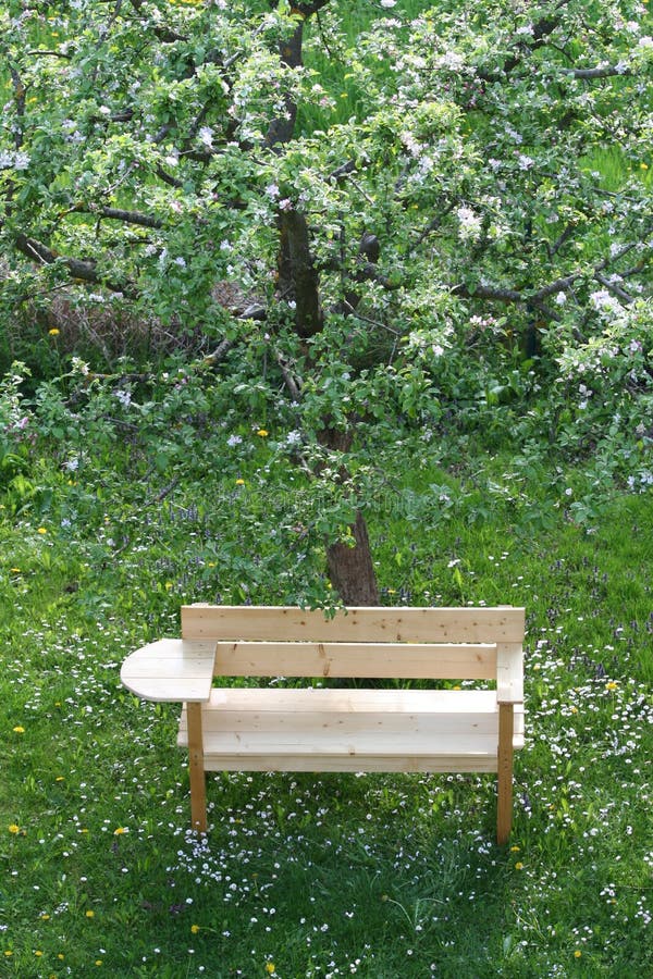 New Bench Under an Apple Tree in Spring Stock Photo - Image of flower ...