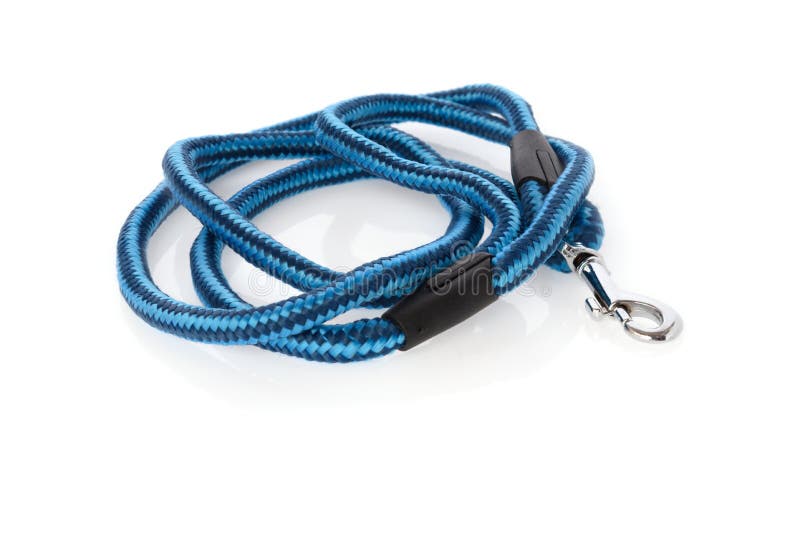 New Blue Dog Chain on White Background Stock Photo - Image of security ...