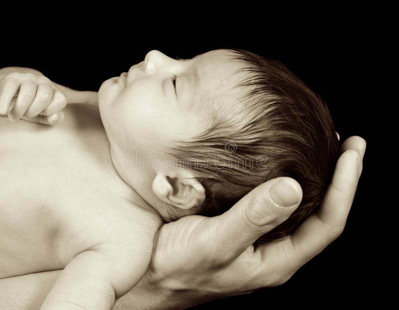 New born baby stock image. Image of precious, hand, infant - 8891367