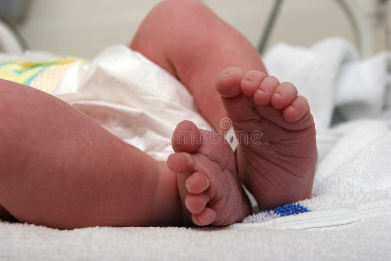 New born baby feet stock photo. Image of sleeping, sole - 498264