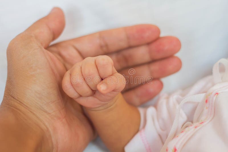 18,183 New Born Baby Hand Stock Photos - Free & Royalty-Free Stock ...