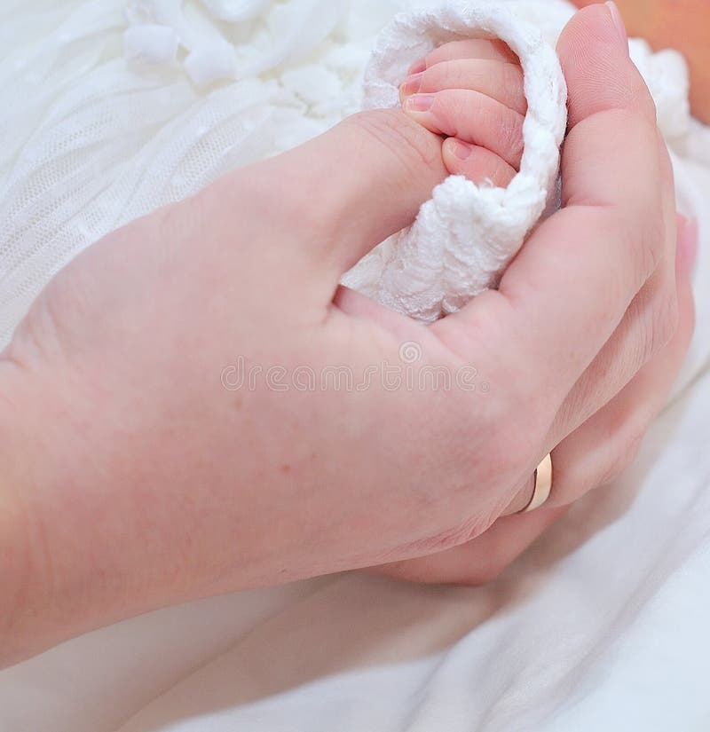 New born baby hand stock photo. Image of delicate, cradle - 109165476