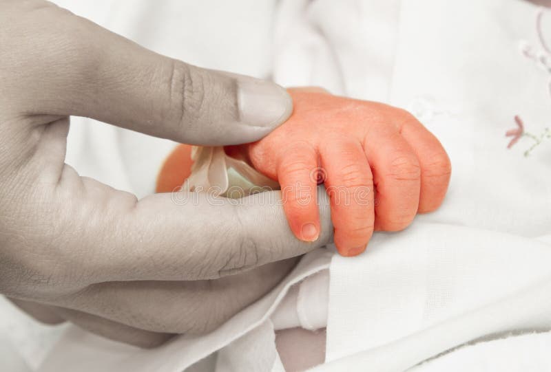 New Born Hand in a Mother Hand Stock Image - Image of infant, macro ...