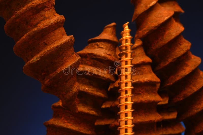 New Brass Screws Contrasting with Old Rusty Screws Stock Image - Image ...
