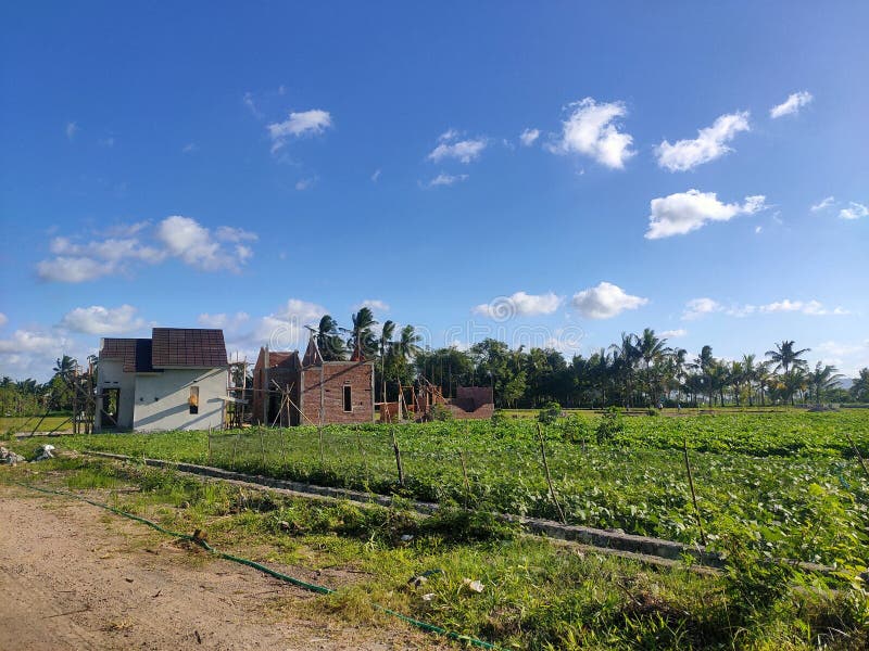 New Building in the Middle of Paddy Fields Stock Image - Image of ...