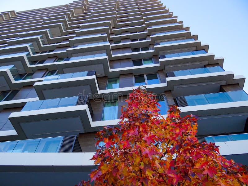 New Building and Orange Autumn Leaf Tree Stock Image - Image of orange ...