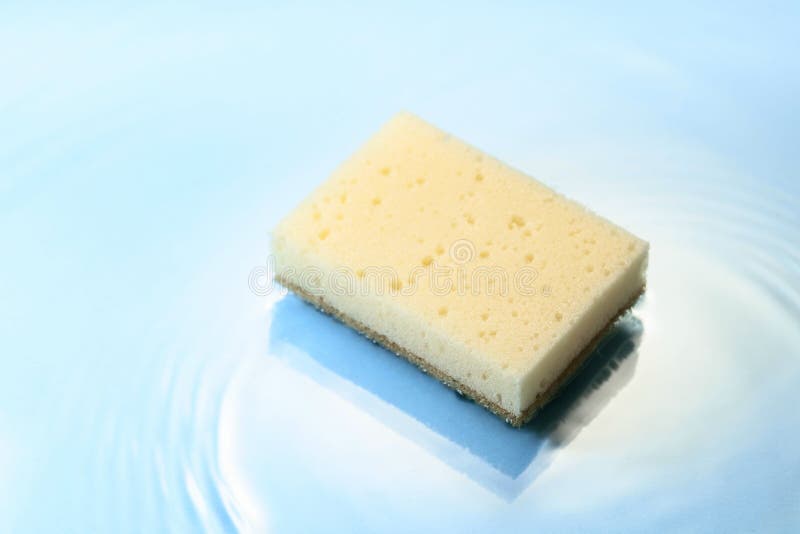 The Sponge Falls into the Water Stock Image - Image of rough, bath ...