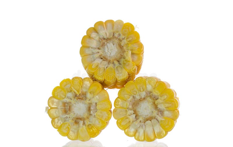 New corn stock image. Image of farm, culture, ingredient - 43207159