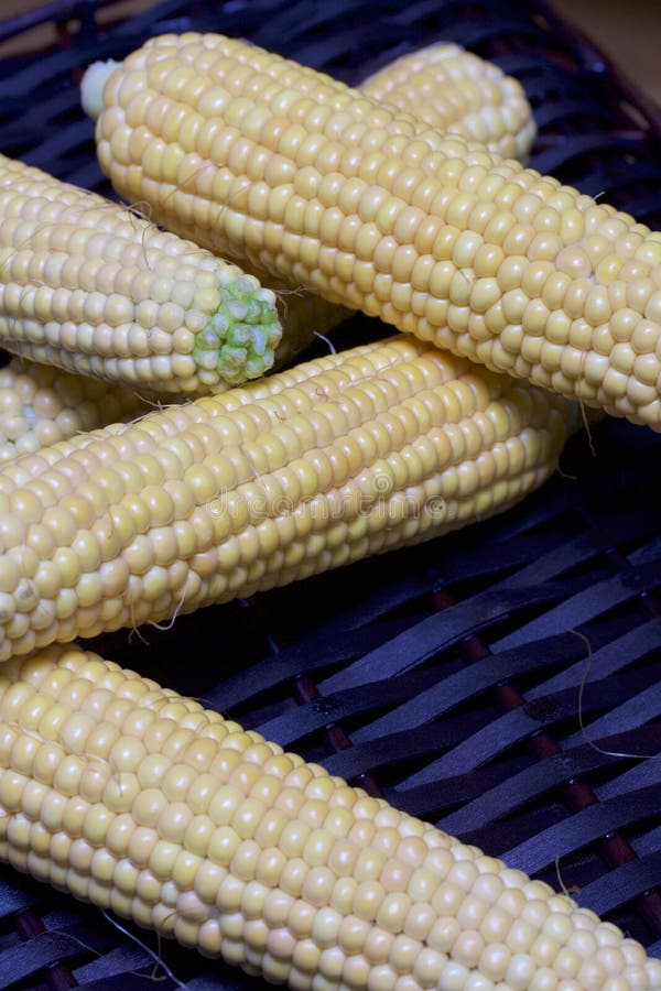 A New Crop. Corn Cobs Lie on a Wooden Box. Stock Photo - Image of leaf ...