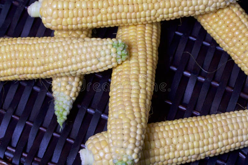 A New Crop. Corn Cobs Lie on a Wooden Box. Stock Image - Image of green ...