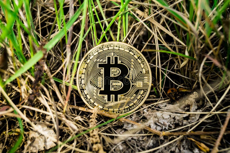 New Crypto Currency, Bitcoin and Computer Fee Finance Map Stock Image ...