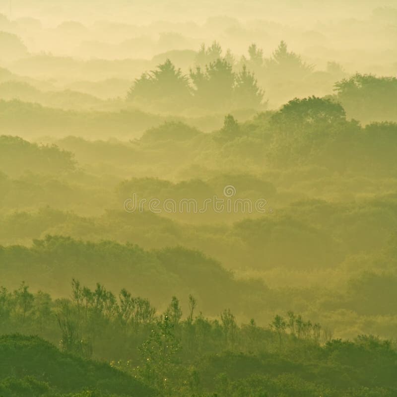 New dawn stock photo. Image of dawn, quietness, fading - 2138726