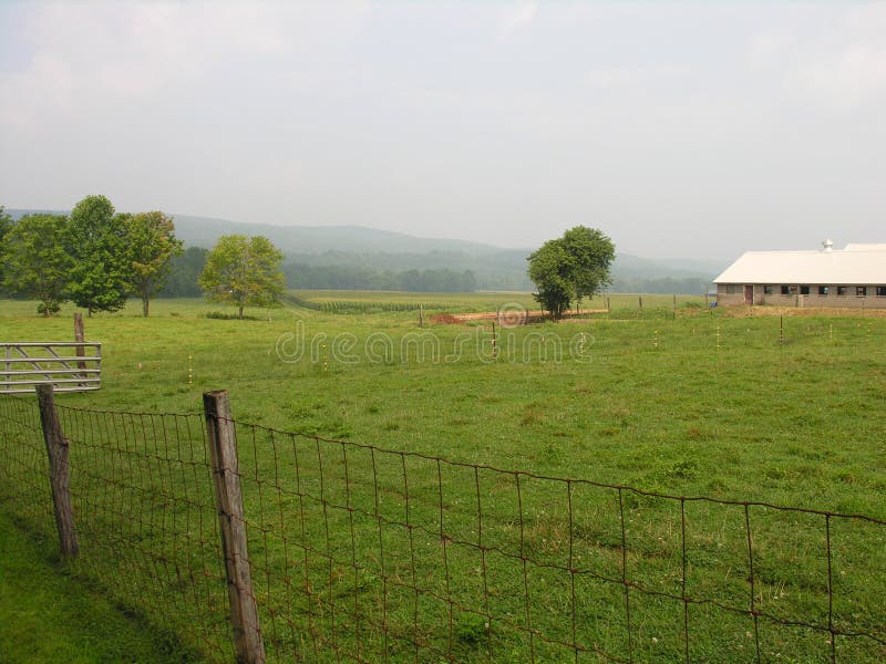 New England stock photo. Image of plants, ranches, summer - 700388
