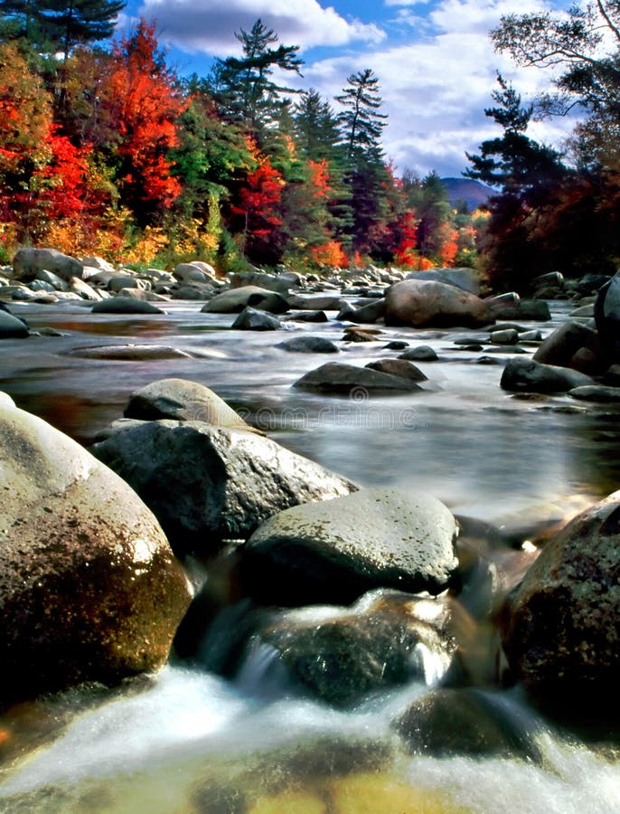 New England Fall Foliage stock photo. Image of earth, birch - 1388802