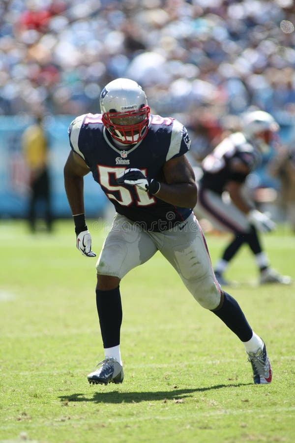 Jerod Mayo editorial stock image. Image of linebacker - 180696089