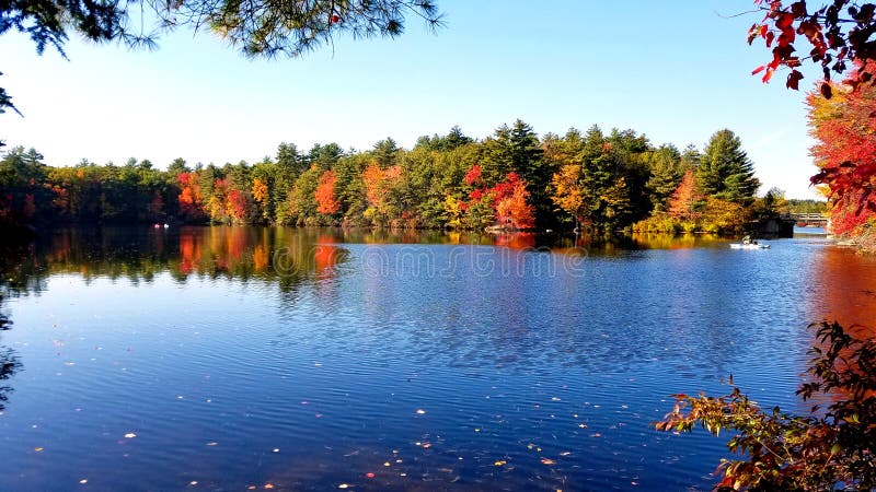 New England Pond in Fall stock image. Image of leaves - 161826097