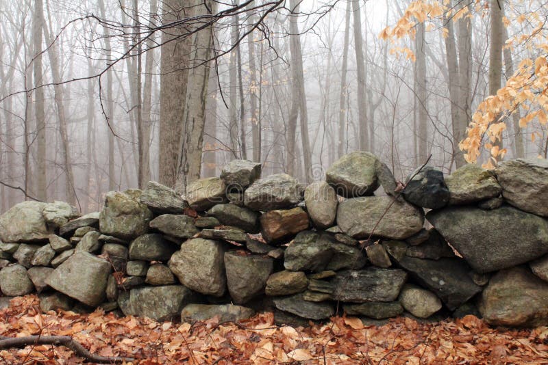 New England Rock Wall in the Woods Stock Image - Image of bare, orange ...