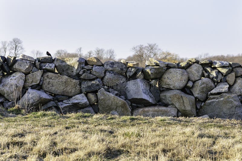 New England stone wall stock photo. Image of bird, background - 82481804