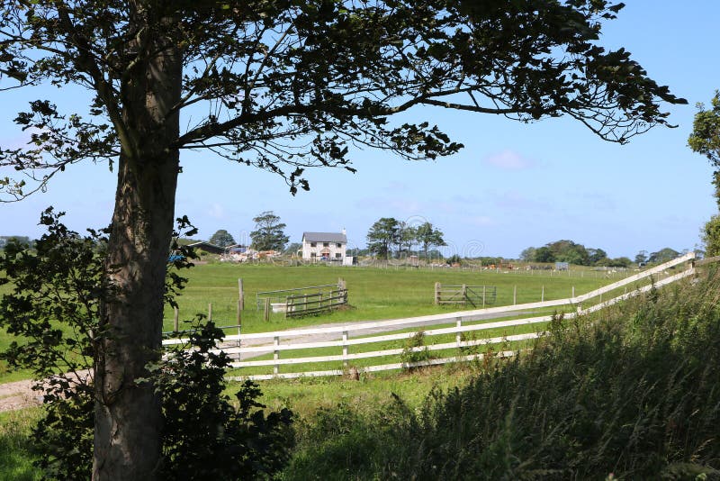 New Farmhouse and Field Framed by Tree Editorial Stock Photo - Image of ...