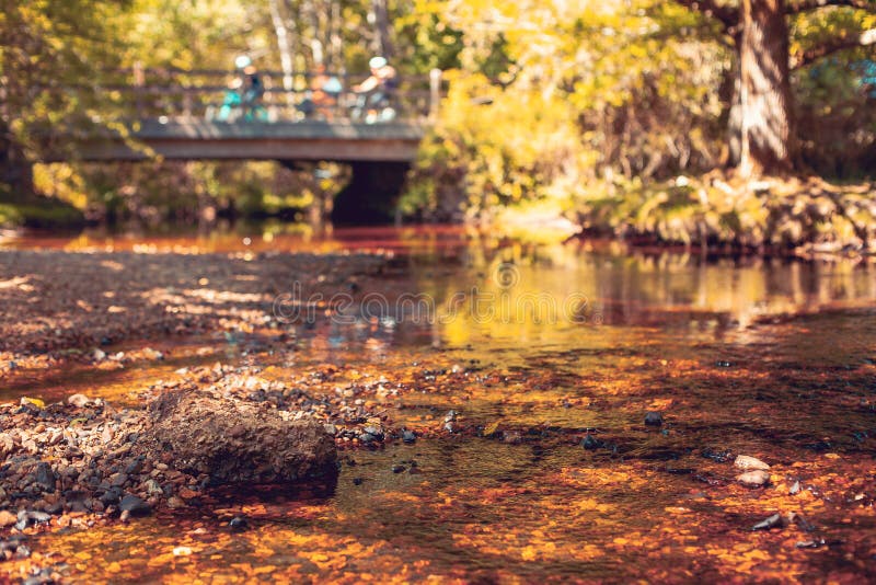 New Forest River Going Under a Bridge Stock Image - Image of climate ...