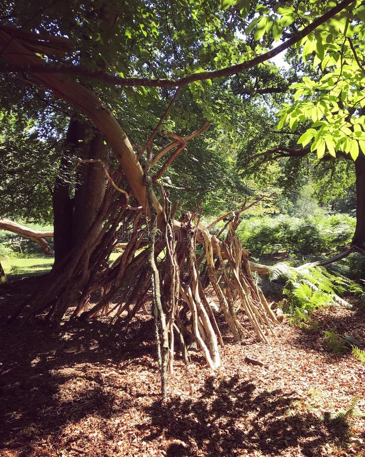 New forest woodland den stock image. Image of trees - 192941129