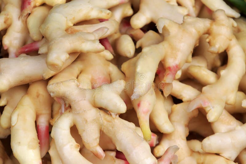 New ginger stock photo. Image of healthy, closeup, plant - 33610576