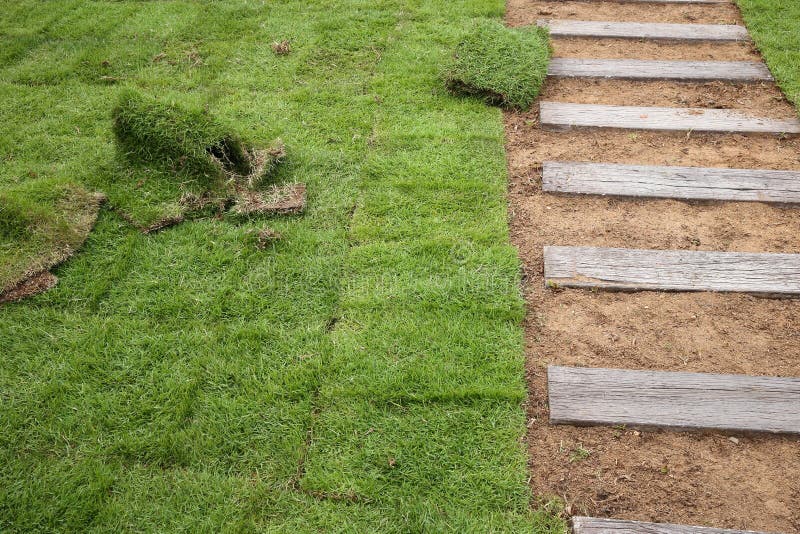New Grass, Planting New Sod Grass Stock Image - Image of house, care ...
