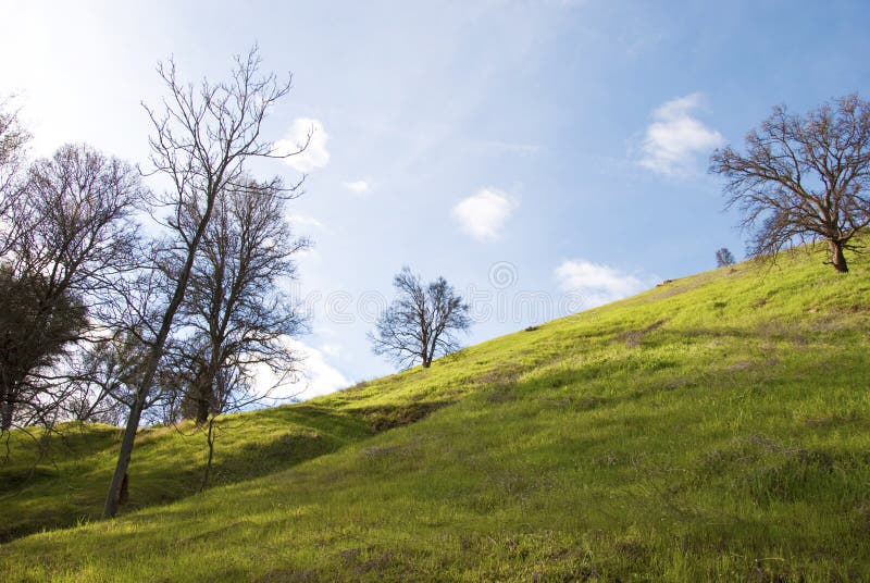 New Green Hillside in Spring Stock Image - Image of breezy, freedom ...
