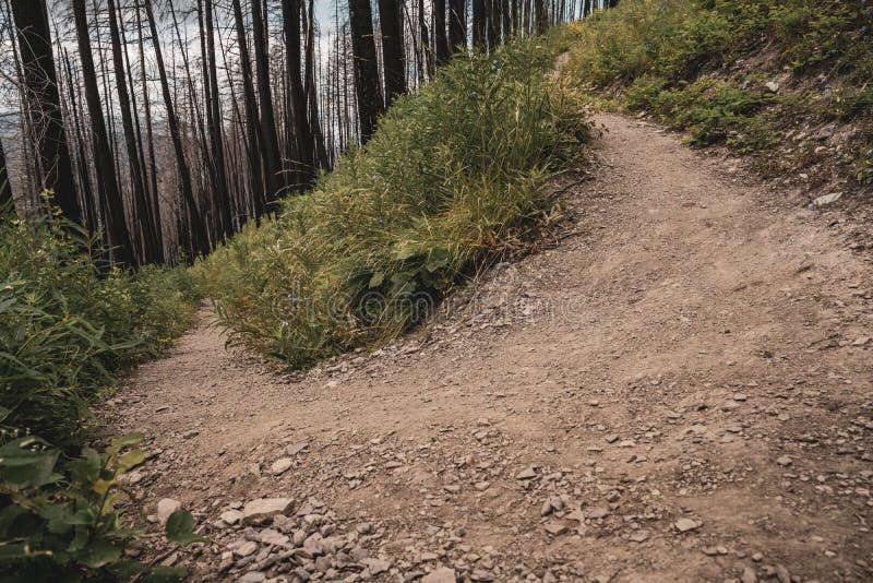 Switchback hiking trail stock photo. Image of hiking - 47869168