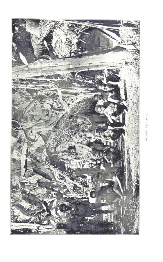 British Library Digitised Image From Page 81 Of "Through New Guinea And ...