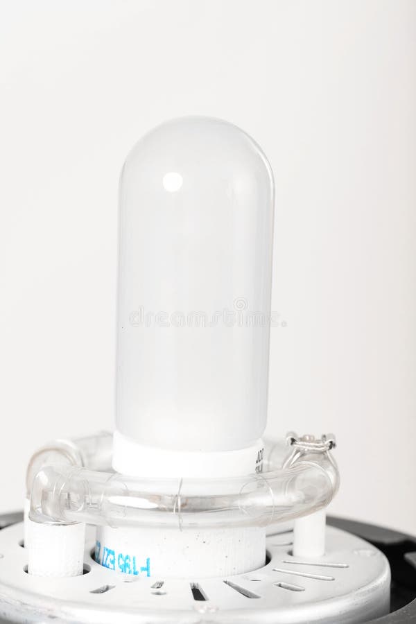 A New Halogen Bulb of Modeling Light in a Studio Flash. Vertical Photo ...