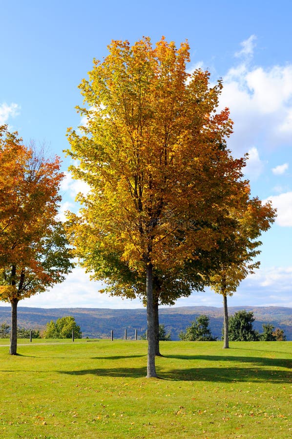 Chesterfield Gorge New Hampshire Stock Image - Image of autumn, flow ...