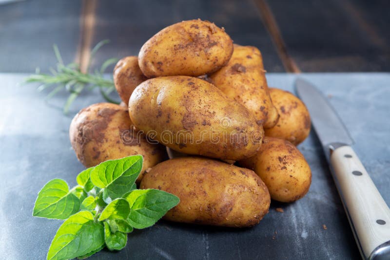 New Harvest Potatoes Not Washed with Soil on Table Stock Image - Image ...