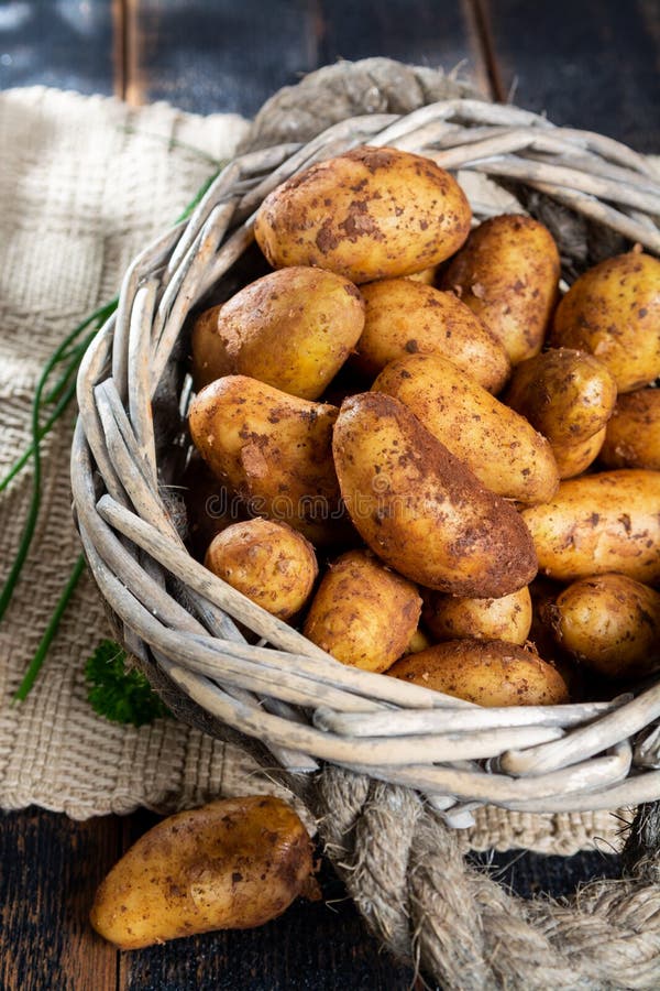 New Harvest Potatoes Not Washed with Soil on Table Stock Image - Image ...
