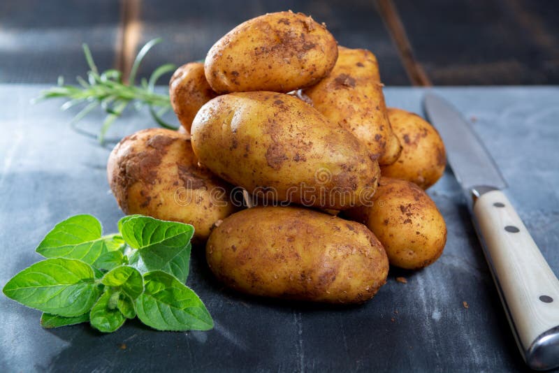 New Harvest Potatoes Not Washed with Soil on Table Stock Photo - Image ...