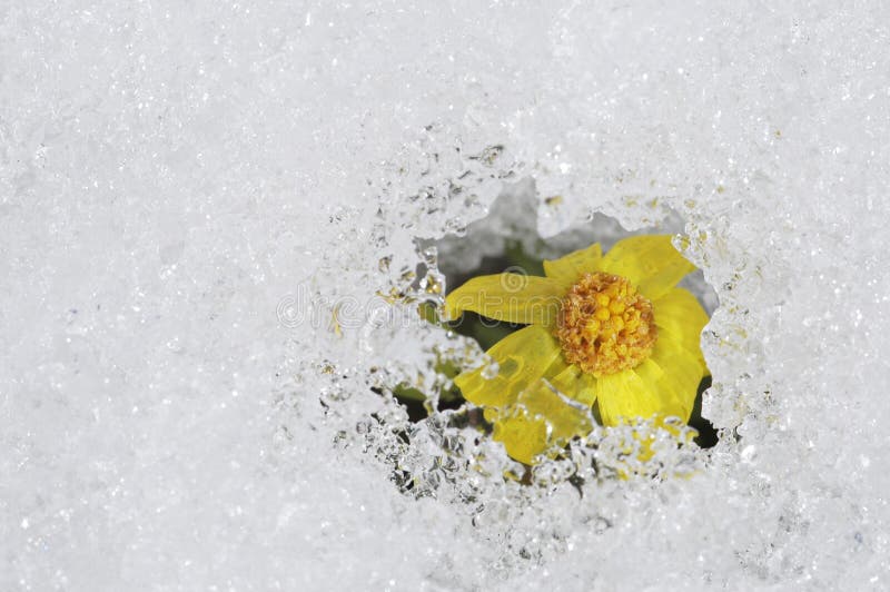 New Hope Concept; a Bright Future Climate Changes for the Better Stock ...