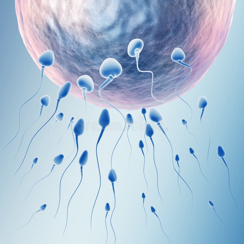 New life beginning stock illustration. Illustration of cell - 49552848