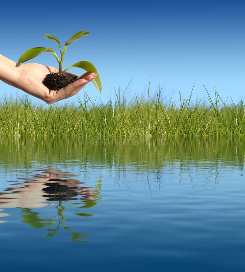 New life concept stock image. Image of increase, leaf - 3456069