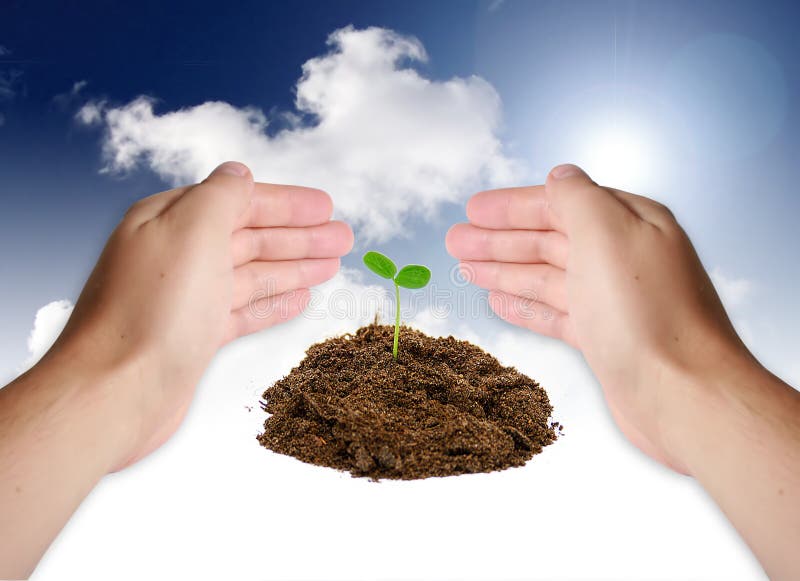 New life concept stock photo. Image of grow, life, nature - 3472436