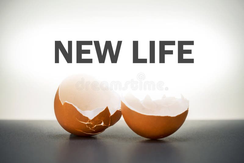 New life concept. stock photo. Image of concept, creativity - 289574220